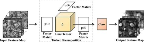Tensor Decomposition Based Networks For Nuclei Segmentation And