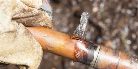 Winterize Sprinkler System Protect Your Irrigation With Able Irrigation Ltd