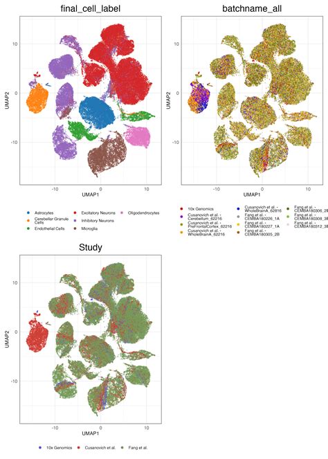 atac dataset mouse brain atac windows large