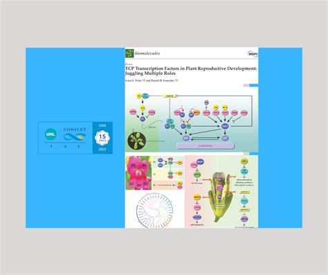 Factores De Transcripción Tcp En El Desarrollo Reproductivo De L