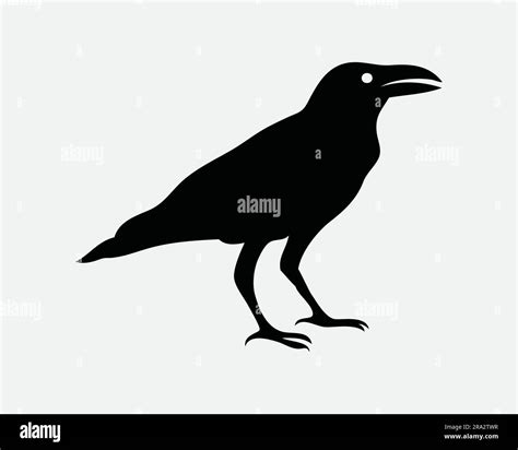 Cartoon Raven Stock Vector Images Alamy