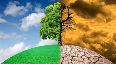 Cambio Climático 5 Afirmaciones Falsas Sobre El Calentamiento Global