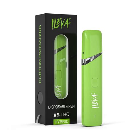 Preheat Disposable Vape Pen 3 Gram Disposable Pen Factory