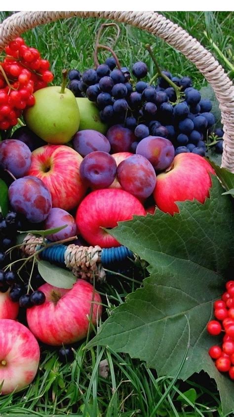 Правильное питание Эстетика ЗОЖ Полезно Рацион Меню Fruit Photography Exotic Fruit Fruit Picking