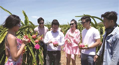 “Đường Băng” Cho Du Lịch Cất Cánh