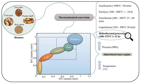 Biomass Hydrochar A Critical Review Of Process Chemistry Synthesis