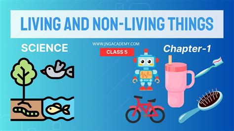 Class 5 Science Chapter 1 Living And Non Living Things Best Notes
