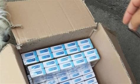 Цигари и алкохол задържаха митничари в района на ГКПП Дунав мост Русе