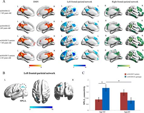 A The Spatial Maps Show The Dmn Left Fpn And Right Fpn Of The Four
