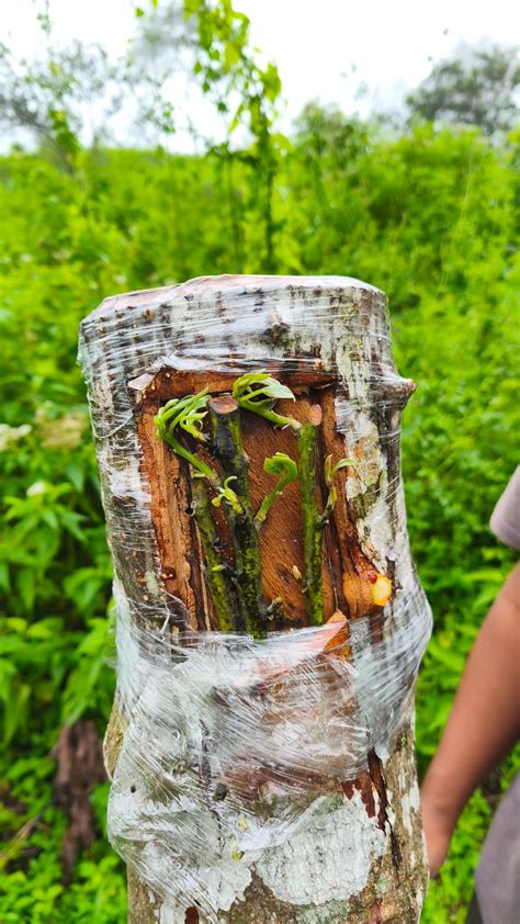 Ahmad Rizky Ardiansyah