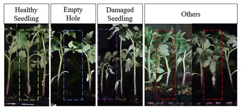 Vision Based A Seedling Selective Planting Control System For Vegetable Transplanter