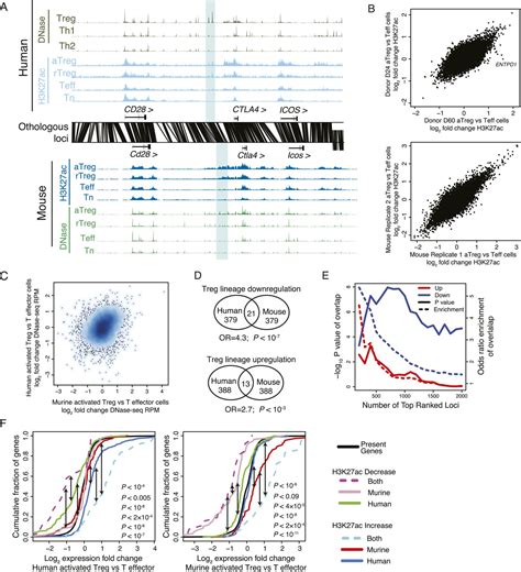 Figures And Data In Genetic And Epigenetic Variation In The Lineage Specification Of Regulatory
