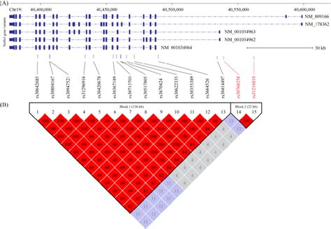 Linkage Disequilibrium Ld Structure For The Region Containing