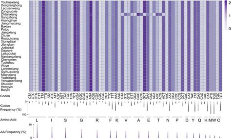 Heatmap Of Rscu Values And Corresponding Amino Acid Analysis Of P Download Scientific Diagram