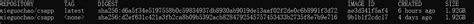 C C Extension Error Issue 6 XieGuochao Csapp GitHub