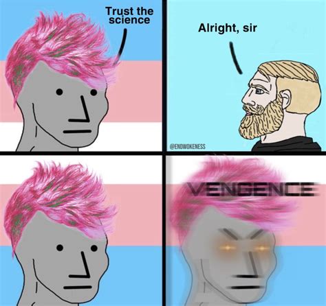 The Right To Bear Memes On Twitter Rt Endwokeness