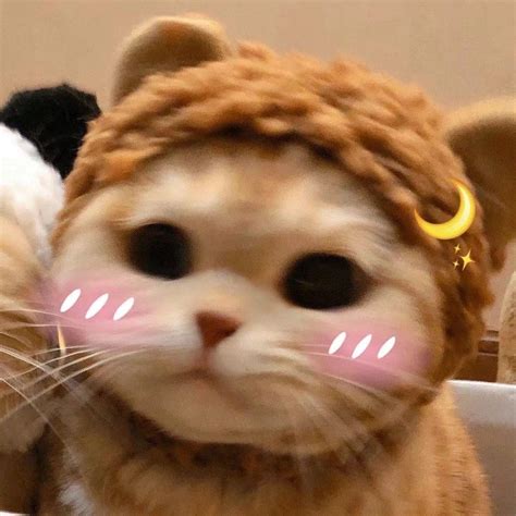 有哪些搞怪好玩的闺蜜头像？ 知乎