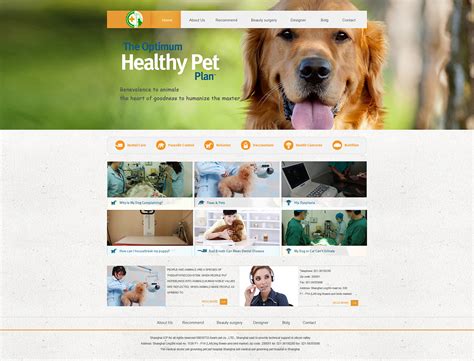 网页设计宠物医院websitecorporation Homepageannabellattoriginal作品 站酷zcool