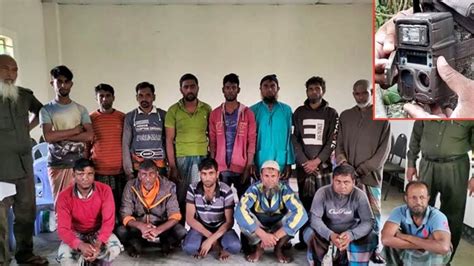 সুন্দরবনে বাঘ গণনার ক্যামেরা চুরির ঘটনায় আটক ১৪