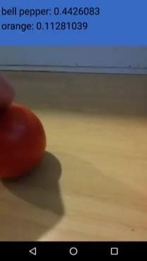 Develop Android App Detecting Object Using Tensorflow Lite By Ayoub 19