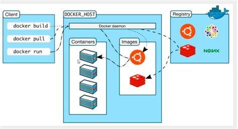 Docker Basic Operation Notes