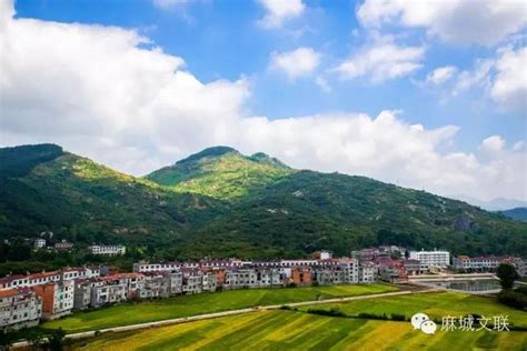 鹽田河板栗文化旅遊節將於9月12日開幕 每日頭條