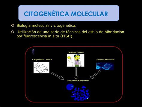 Citogenética Molecular