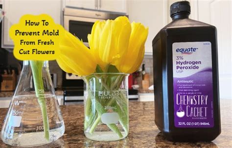 How To Prevent Mold From Fresh Cut Flowers With This Hack