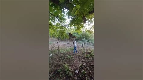 تاب بازی من و دختر نازم Youtube