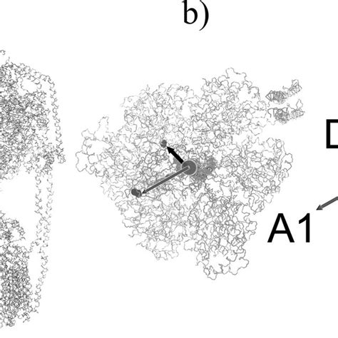 A Model Of The F O F 1 Atp Synthase From E Coli Black Dots Download Scientific Diagram