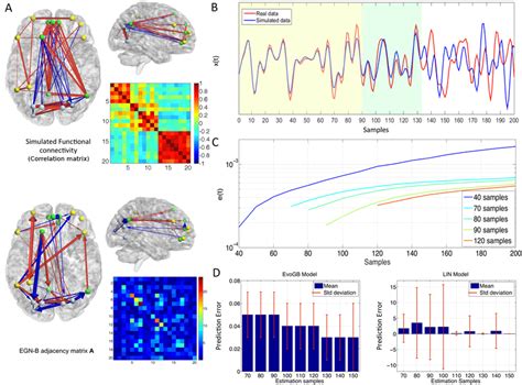 Connectivity Directionality And Model Errors A Shows The Different Download Scientific