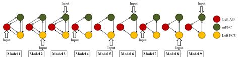 nine causal constructed using dynamic causal modelling download
