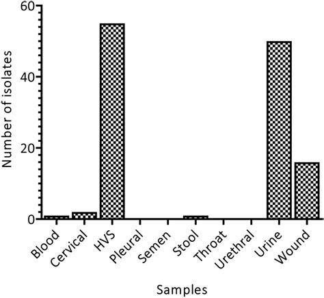 Distribution Of Different Clinical Isolates Among The Various Samples