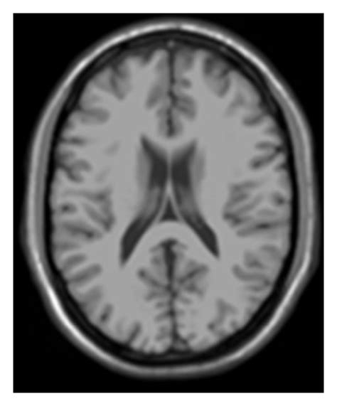 Automatic Segmentation Results Of Our Algorithm A Is The Original