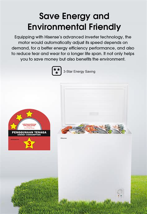 FC256D4BWPS 248L | Hisense Malaysia