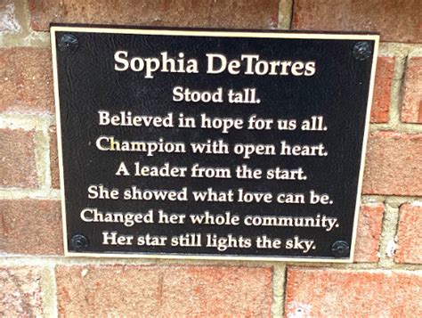 In The News Sophias Shining Light