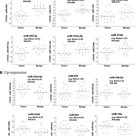 real time pcr validation of microarray result selected mirnas were