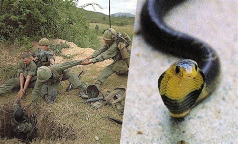 Player Snake Wars