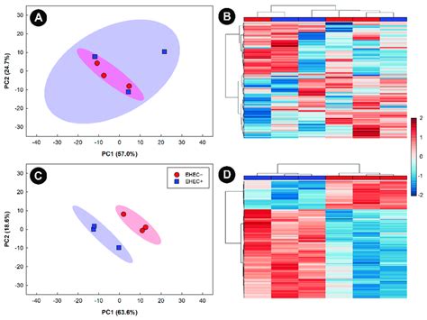 Principal Component Analysis Pca Score Plots And Heat Maps Of