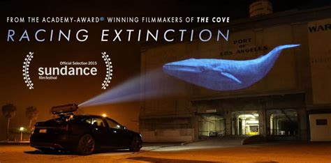 Racing Extinction Extinctionops Twitter