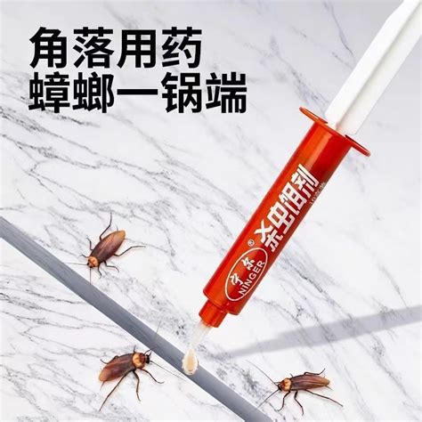 宁尔蟑螂药杀蟑盒装胶饵蟑螂灭蟑杀蟑诱饵家用批发浙江厂家直供 阿里巴巴