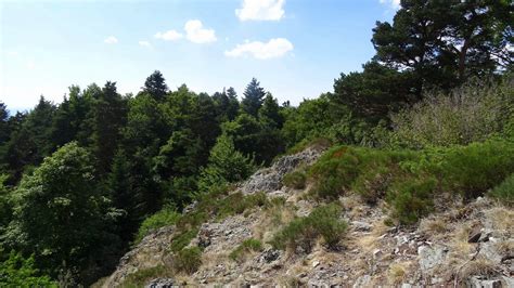 Espace Trail Du Meygal Suc De La Tortue N°7 Randonnée Massif Du