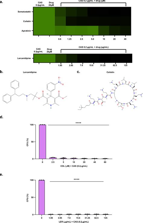 粘菌素通过调节钙稳态和应激反应增强卡泊芬净对烟曲霉的抗真菌功效 Nature Communications X Mol