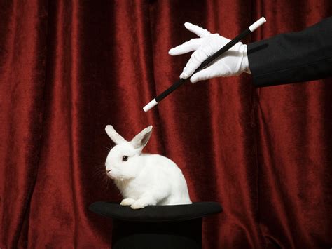Visualizing Disease States Making The Rabbit Appear