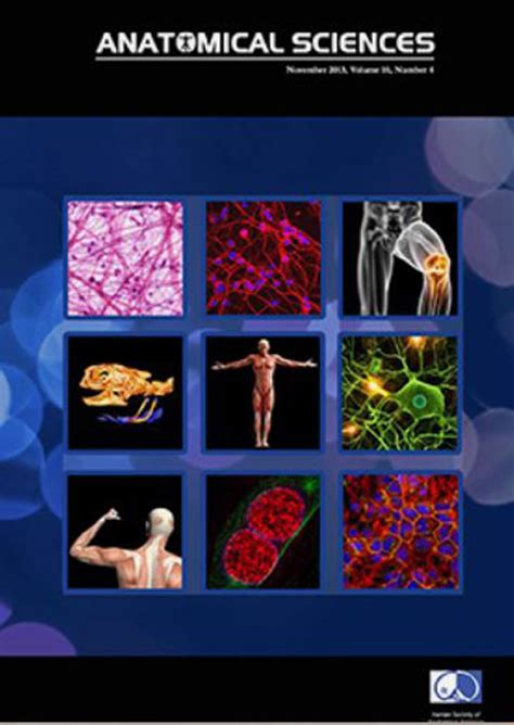 Magiran Anatomical Sciences Journal، Volume19 Issue 1 Winter