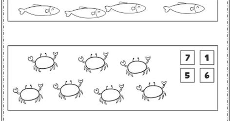 Contando E Registrando Quantidade Animais Marinhos Atividades