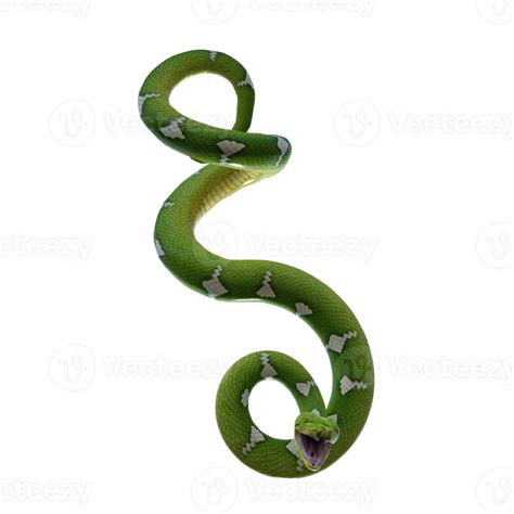 Snake Python Isolated 3d 24485850 PNG