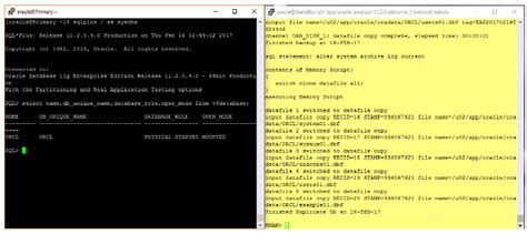 How To Fail Over And Reinstate Oracle Database On Oracle Cloud