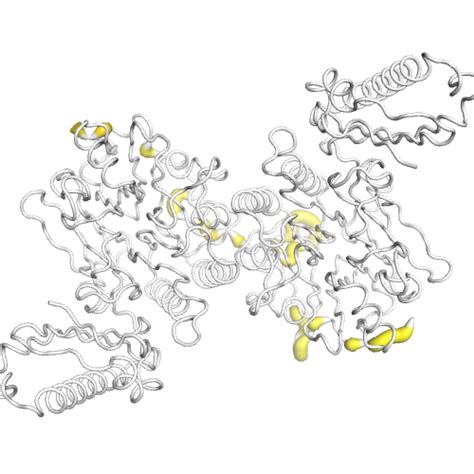 Nbn Gene Somatic Mutations In Cancer