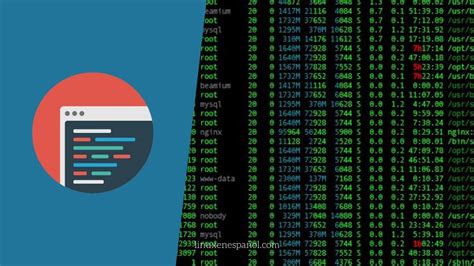 Crear Usuario Con Privilegios De Root En Linux Paso A Paso Muylinux